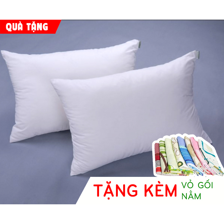 [TẶNG QUÀ] Lẻ 1 cái gối nằm bông hạt TẶNG KÈM vỏ gối cùng cỡ KHÔNG xẹp ...
