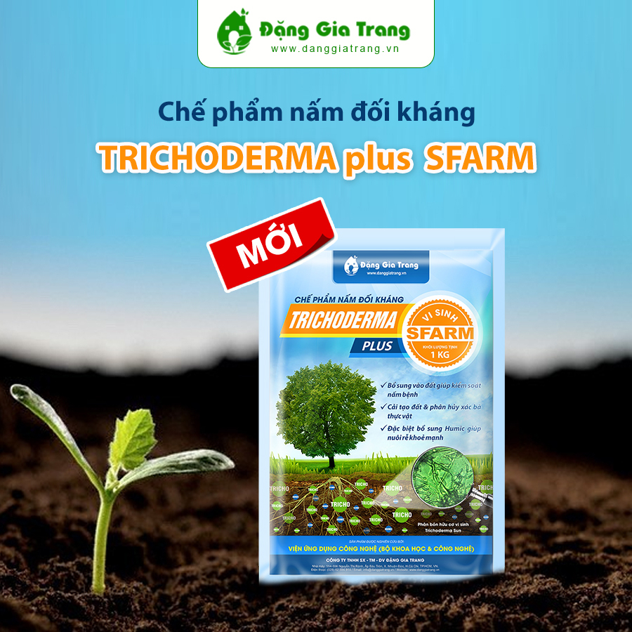 Nấm Đối Kháng Trichoderma Plus Sfarm (Bao 1kg) | Shopee Việt Nam