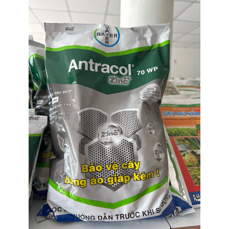 Thuốc trừ bệnh Antracol 70WP 1kg | Shopee Việt Nam