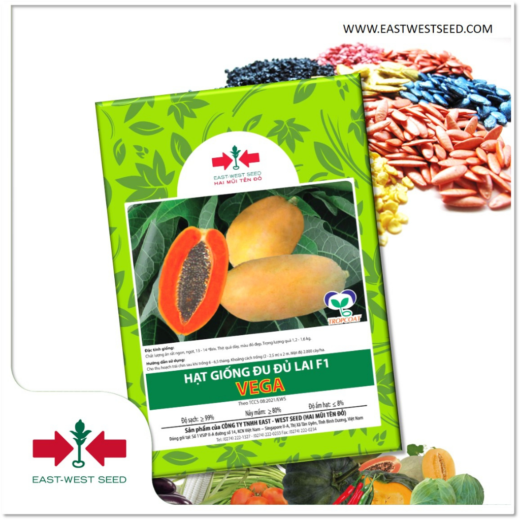 GÓI 4 HẠT GIỐNG ĐU ĐỦ RUỘT ĐỎ LAI F1 VEGA CỦA EAST-WEST SEED (HAI MŨI ...
