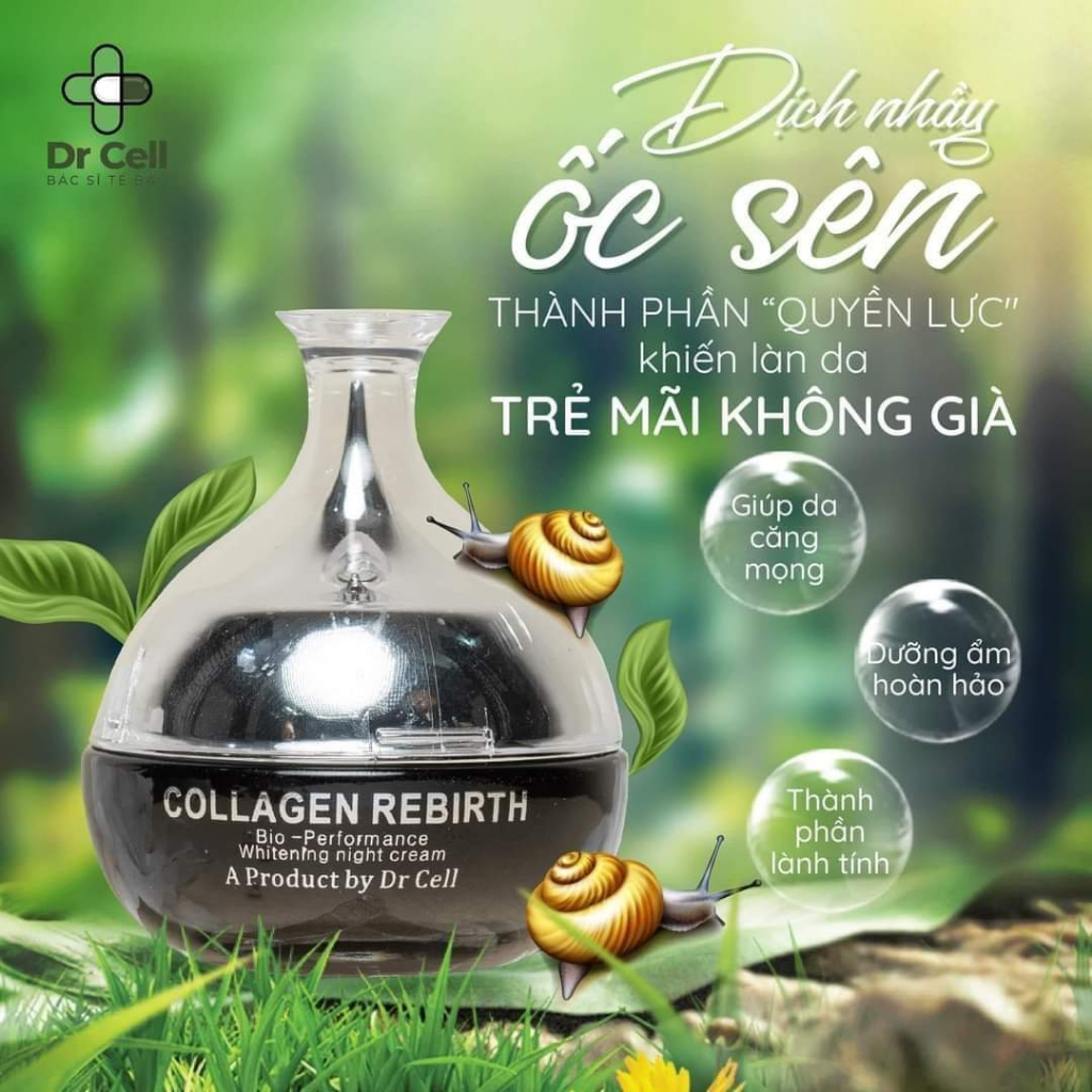 Kem Đêm Collagen Rebirth Dr Cell | Shopee Việt Nam