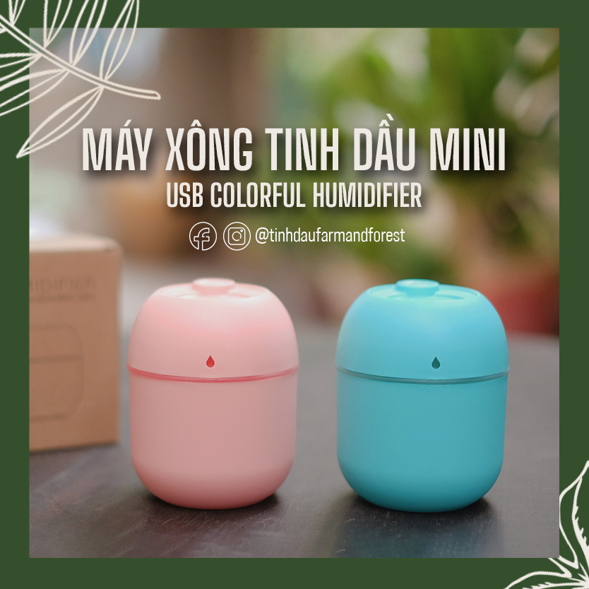 Máy Xông Tinh Dầu Phun Sương Mini USB Colorful Humidifier | 2 Màu: Xanh ...