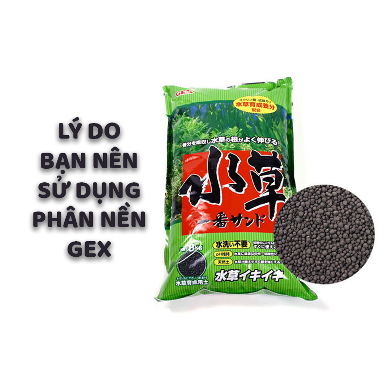 Phân nền Gex xanh - bao 8kg | Shopee Việt Nam