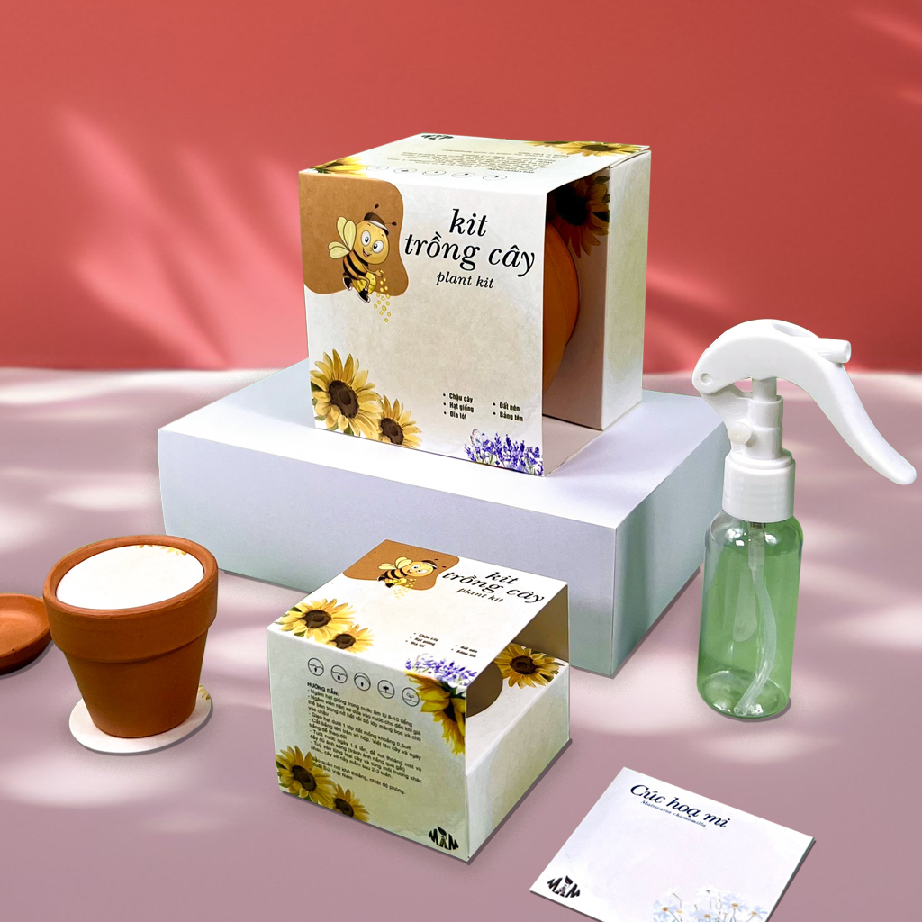 Kit Trồng Cây Mini, Bộ Trồng Cây Hạt Giống Hoa Cúc Hoạ Mi | Plant Kit ...