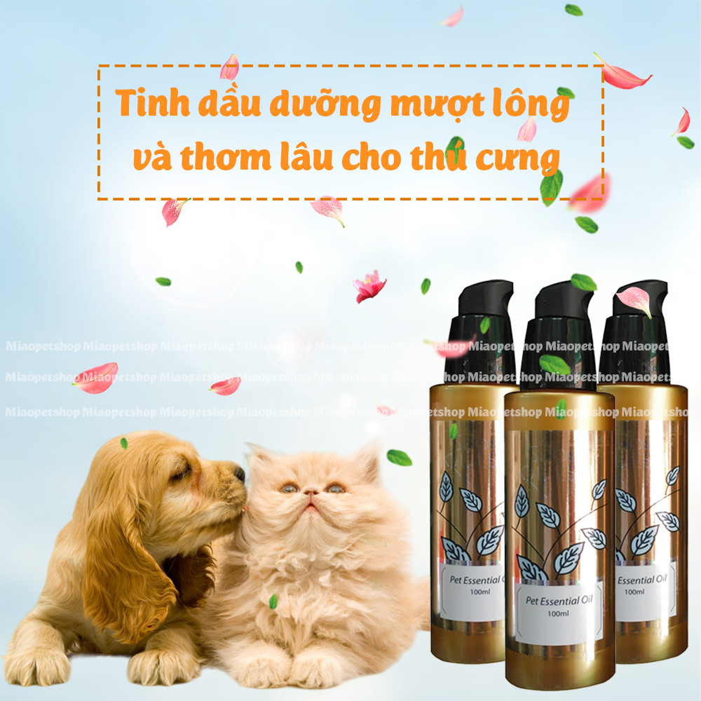 Tinh dầu Pet Essential Oil Show Queen 100ml dưỡng mượt lông và lưu ...