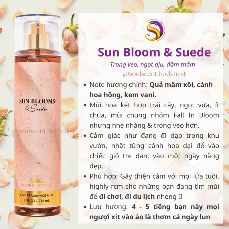 Body mist Sun Bloom & Suede xịt thơm toàn thân Bath & Body Works (AUTH Mỹ) | Soul Scent | Shopee ...