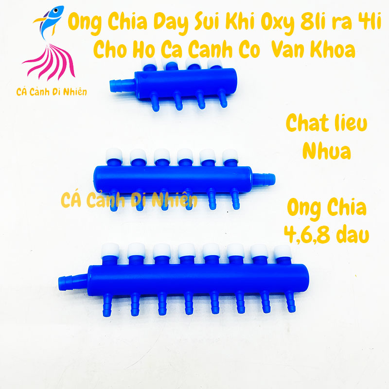 Ống Chia Dây Sủi Khí Oxy 468 đầu Từ 8li Ra 4li Có Van Khóa Cho Hồ Cá Cảnh Shopee Việt Nam