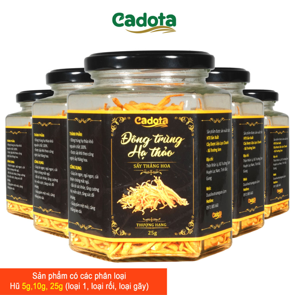[TRỢ GIÁ] Đông Trùng Hạ Thảo Khô Sấy Thăng Hoa CADOTA, Hàng Tận Gốc Giá Xưởng (có 3 phân loại ...