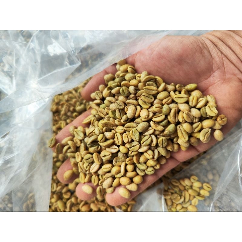 Cà Phê Liberica ( Cà Phê Mít ) sơ chế Natural tuyển chọn (200 Gram ...