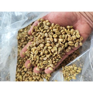 Cà Phê Liberica ( Cà Phê Mít ). Sơ chế Natural tuyển chọn. 200gr ...