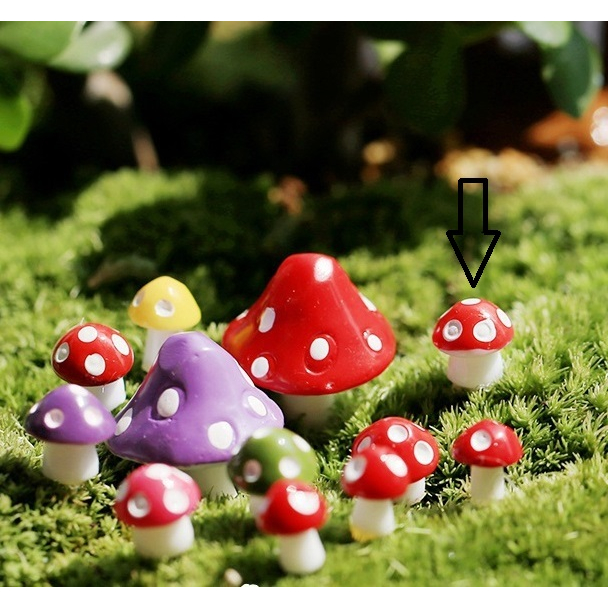 Mô hình phụ kiện tiểu cảnh trang trí sen đá, terrarium, hồ cá,tablo ô ...