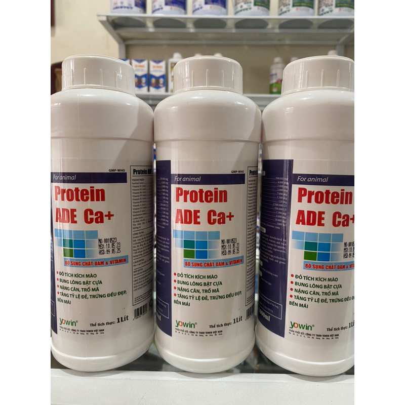 (Thú Y) Protein ADE cao đạm tăng cơ, tăng khung, Tăng nước máu, gà khoẻ ...