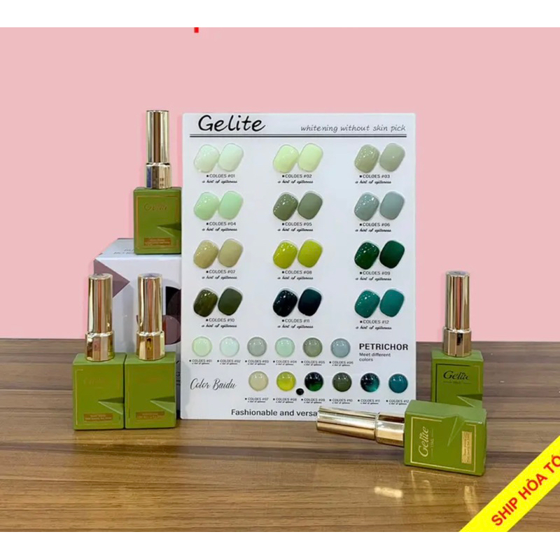 Set sơn gel Gellite 12 màu tặng kèm bảng màu | Shopee Việt Nam