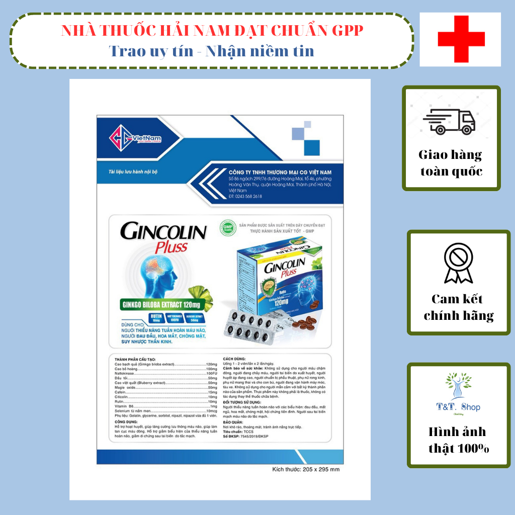 Tuần hoàn máu não GINCOLIN Pluss - Hộp 10 vỉ x 10 viên | Shopee Việt Nam