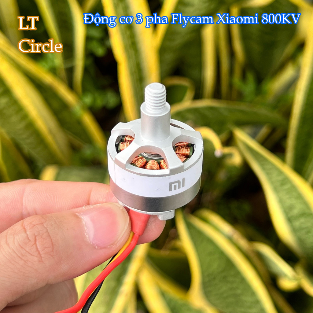 Động cơ motor 3 pha Brushless DC 12V 800KV Flycam Xiaomi - LT Circle ...