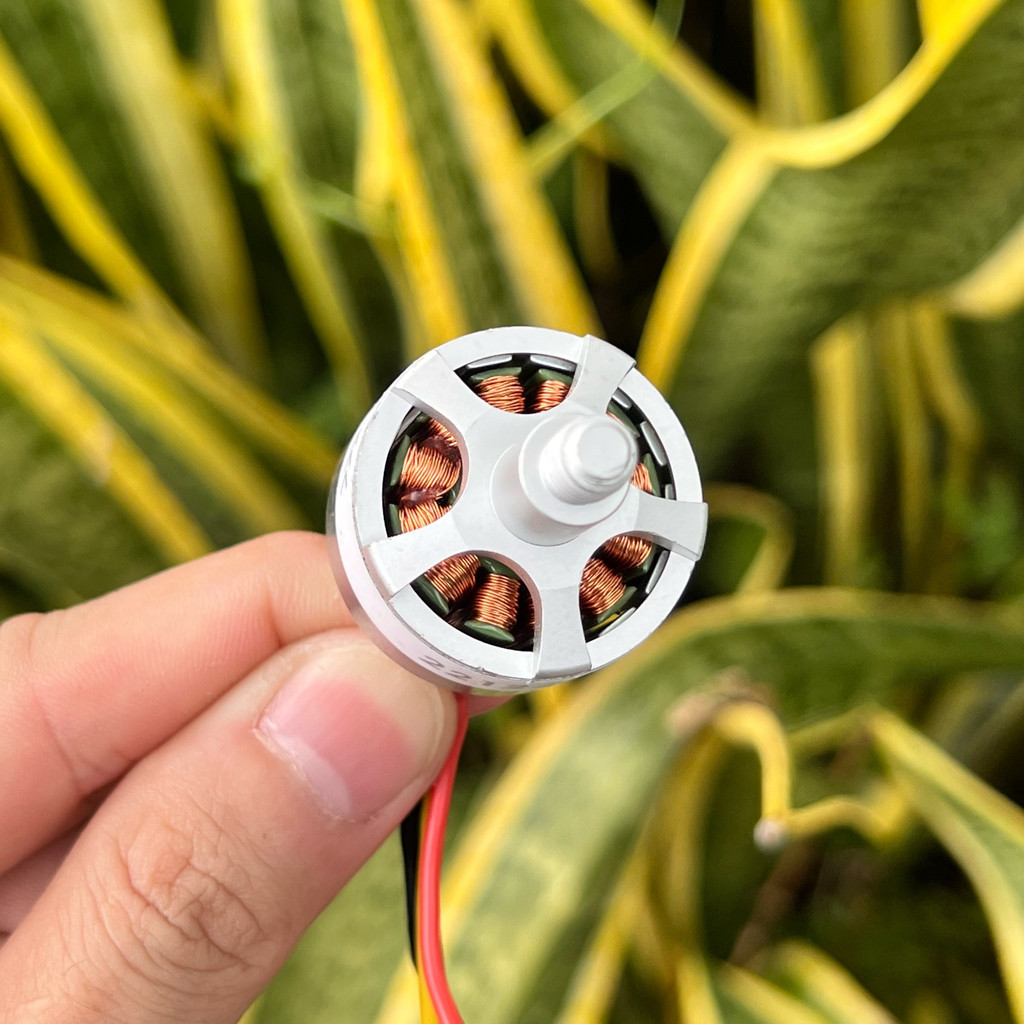 Động cơ motor 3 pha Brushless DC 12V 800KV Flycam Xiaomi - LT Circle ...