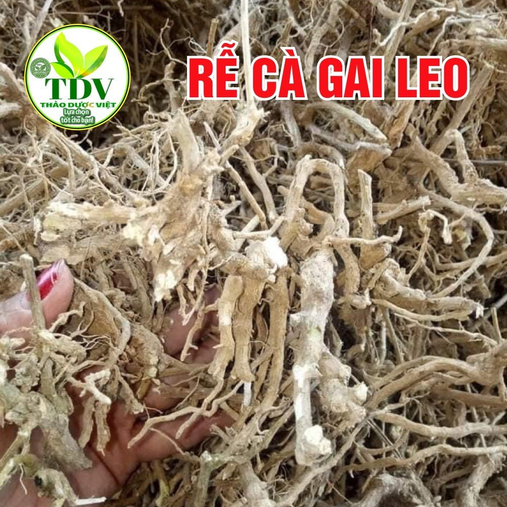 500g Rễ Cà gai leo khô giải độc Gan cực tốt | Shopee Việt Nam