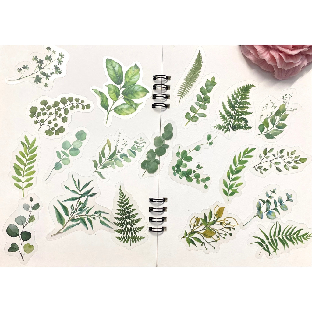 Bộ Sticker lá cây | Shopee Việt Nam