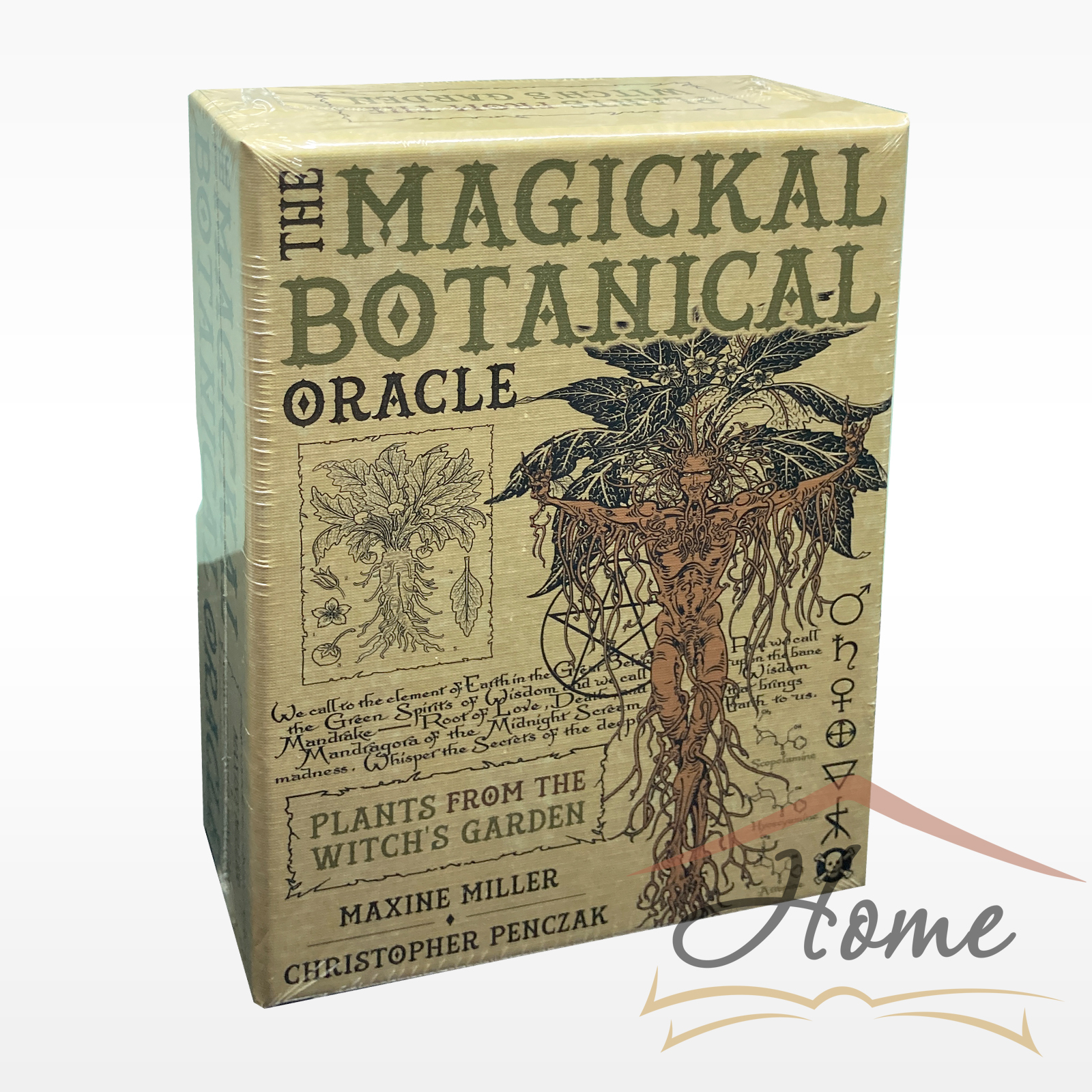 [Bài Oracle chính hãng] Bộ bài Magickal Botanical Oracle | Shopee Việt Nam