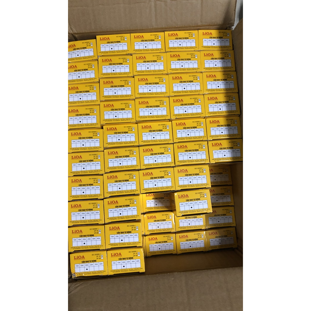 CB Cóc 20A ( Cầu dao tự động 20a) LIOA | Shopee Việt Nam