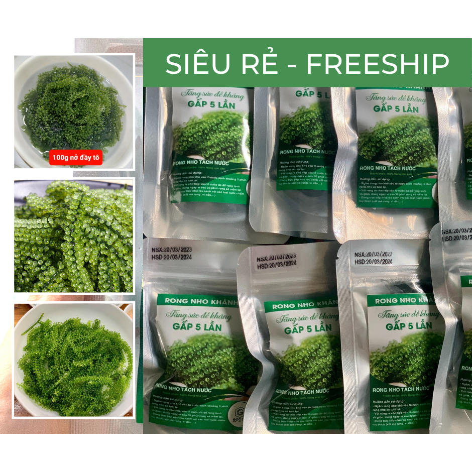 [SIÊU GIẢM GIÁ] COMBO 5 GÓI RONG NHO TÁCH NƯỚC 100G, rong nho tách nước ...