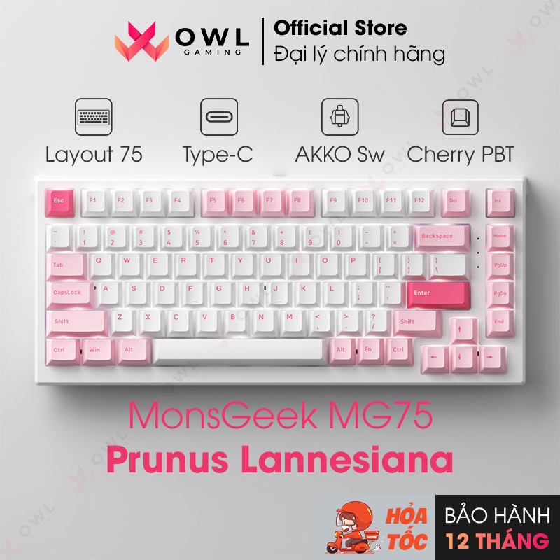 Bàn phím cơ MonsGeek MG75 Prunus Lannesiana (White LED / AKKO sw v3 ...