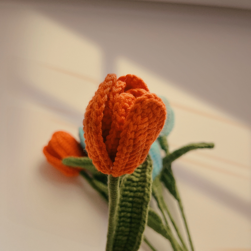 Hoa tulip len | Shopee Việt Nam