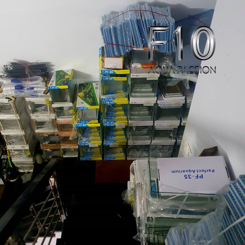 Bể siêu trong cubic 25 ( 25 x 25 x 25 CM) - kính siêu trong siêu đẹp ...