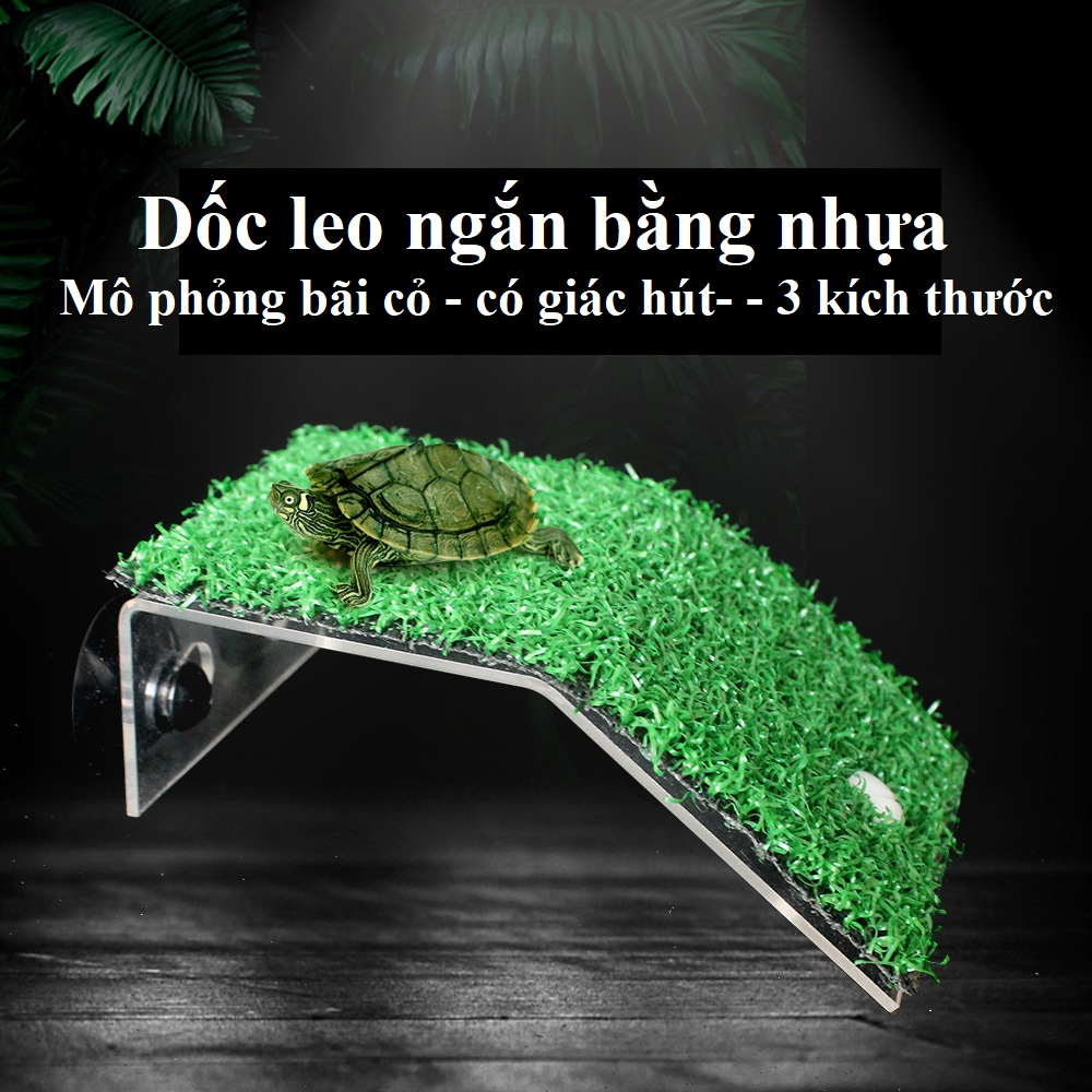 Máng leo cho rùa, thảm cỏ nhân tạo cho rùa, lưỡng cư | Shopee Việt Nam
