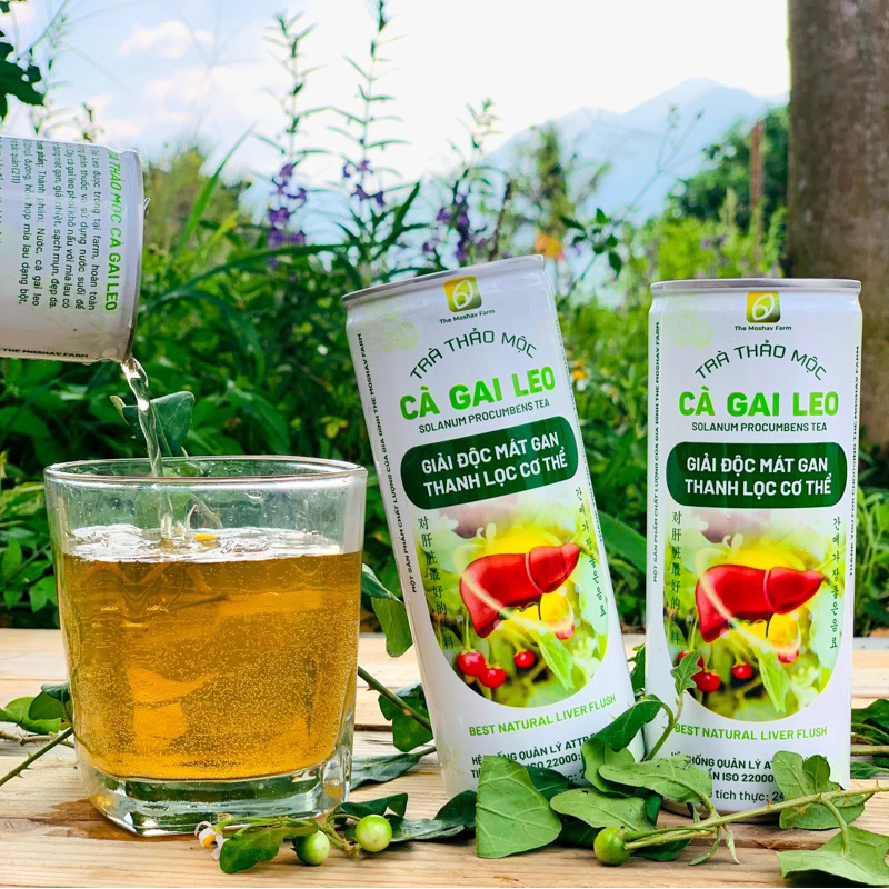 Trà thảo mộc cà gai leo Moshav farm, nước uống đóng lon giúp giải độc, thanh lọc cơ thể | Shopee ...