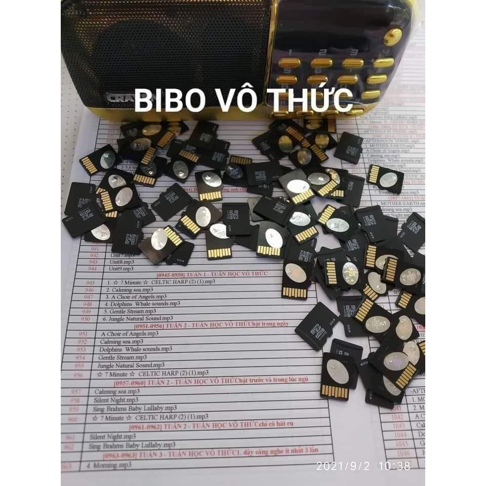 Thẻ nhớ loa bibo english | Shopee Việt Nam