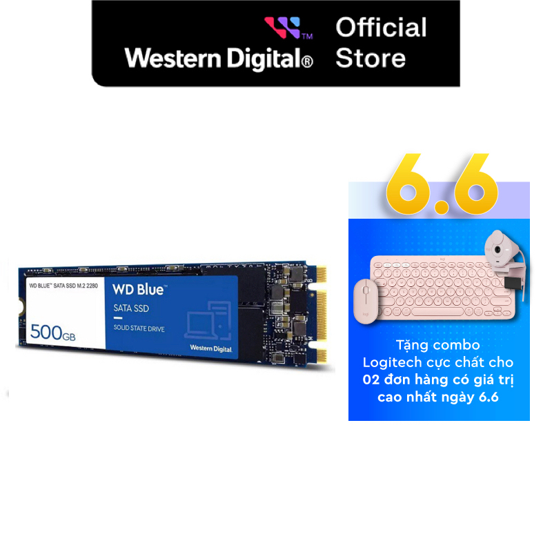 Ổ Cứng SSD Western Digital WD BLUE 500GB 3D-NAND M.2 2280 SATA III ...