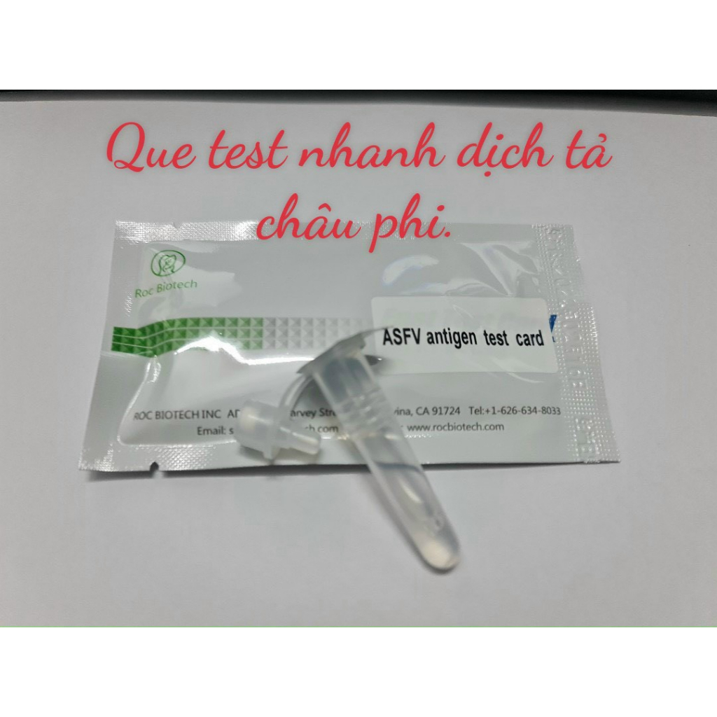 Que Test Nhanh Dịch Tả Heo Châu Phi - Bộ Kít Test Nhanh - Phát Hiện Dễ ...