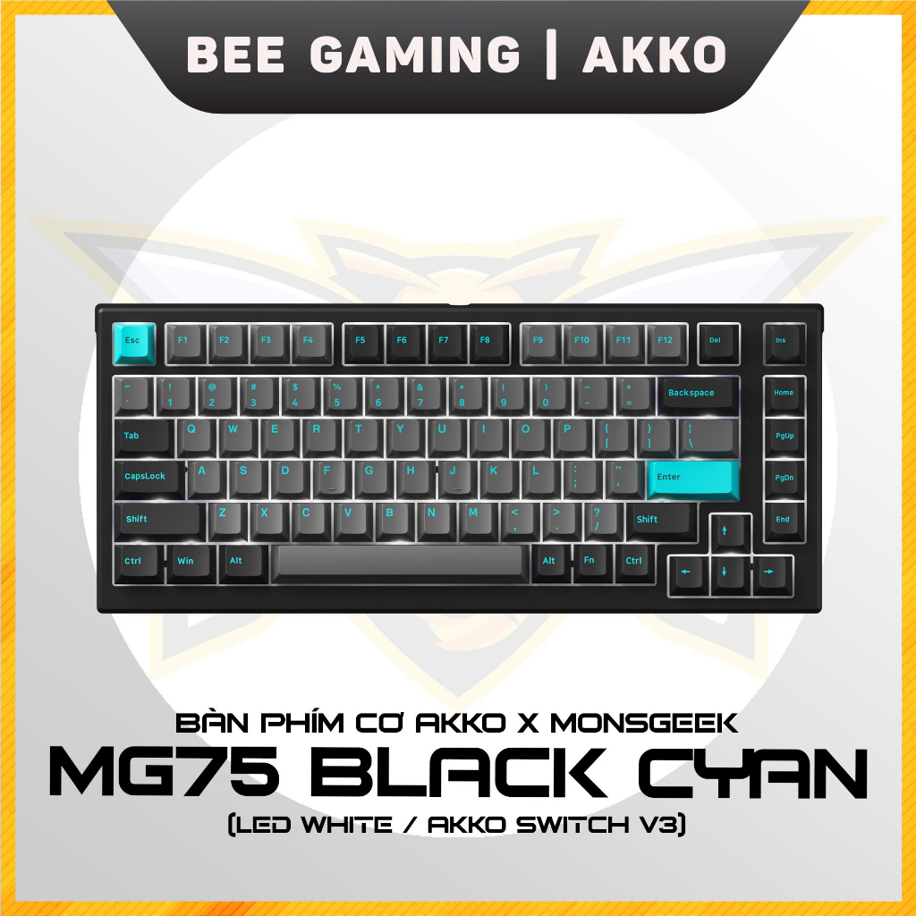 Bàn phím cơ AKKO MonsGeek MG108 / MG75 Black Cyan / Prunus Lannesiana ...
