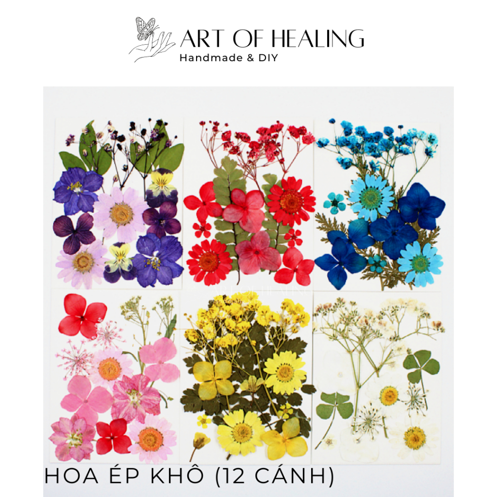 [AOH - Art of Healing] Set hoa ép khô các loại trang trí nến, resin, sổ ...