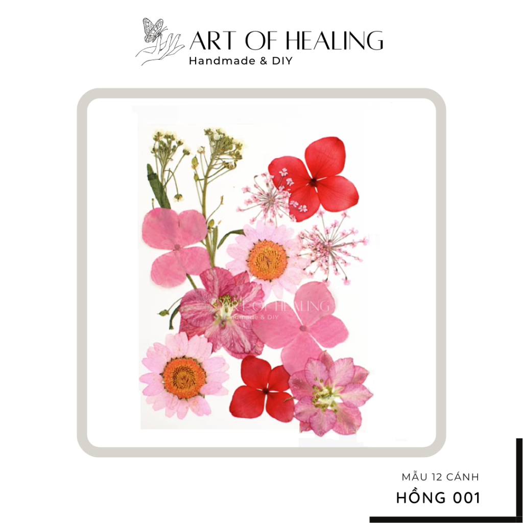 [AOH - Art of Healing] Set hoa ép khô các loại trang trí nến, resin, sổ ...