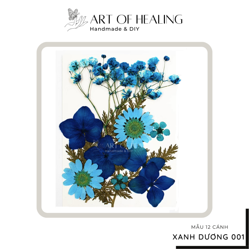 [AOH - Art of Healing] Set hoa ép khô các loại trang trí nến, resin, sổ ...