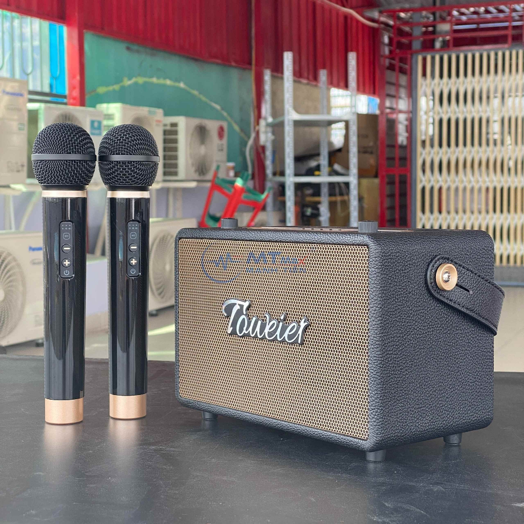 Loa Bluetooth Karaoke TW328 – Loa Xách Tay Kèm 2 Micro Không Dây Sang ...