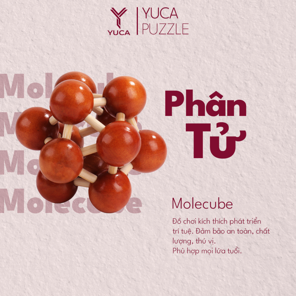 Đồ chơi khóa gỗ Molecube, Yuca Puzzle - Phân tử | Shopee Việt Nam