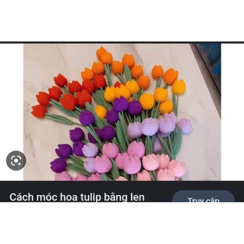 Hoa tulip len | Shopee Việt Nam