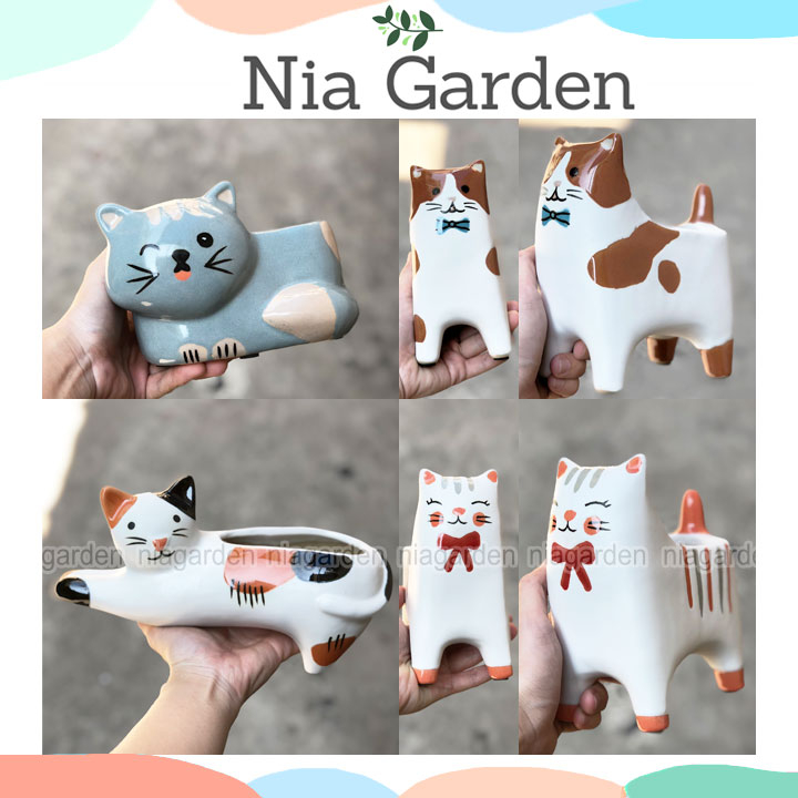 Chậu cây mèo trồng sen đá cây mini cây cảnh để bàn xương rồng trang trí ...