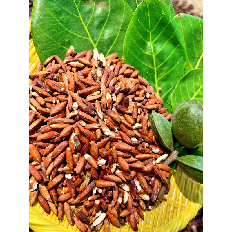 HẠT BÀNG RANG MUỐI ĐẶC SẢN CÔN ĐẢO - Túi 200 gram | Shopee Việt Nam