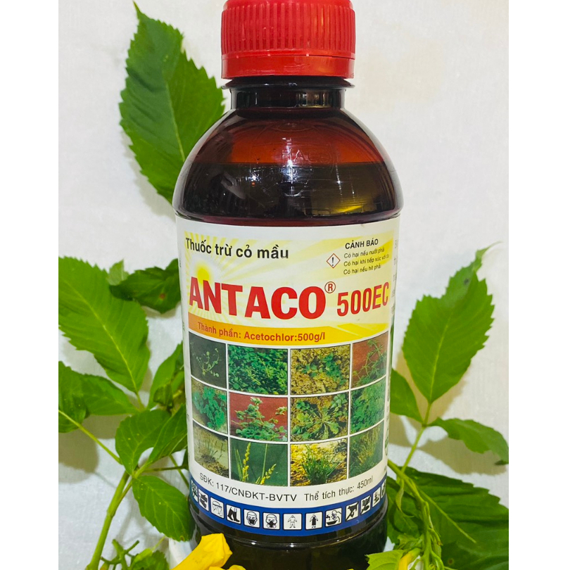ANTACO 500EC (chai 450) | Shopee Việt Nam
