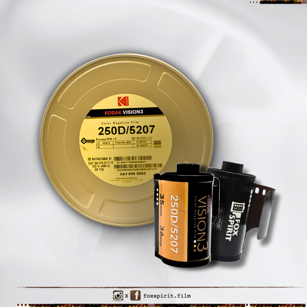 CineFilm - Kodak Vision 3 - 250D/5207 - 36exp - Film 35mm film cine chiết | Shopee Việt Nam