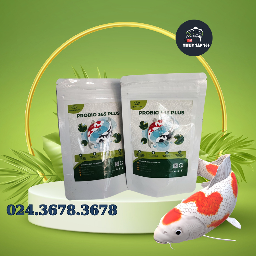 𝐏𝐑𝐎𝐁𝐈𝐎 𝟑𝟔𝟓 𝐏𝐋𝐔𝐒 - Men Vi Sinh Xử Lý Nước Nhiễm Khuẩn | Shopee Việt Nam