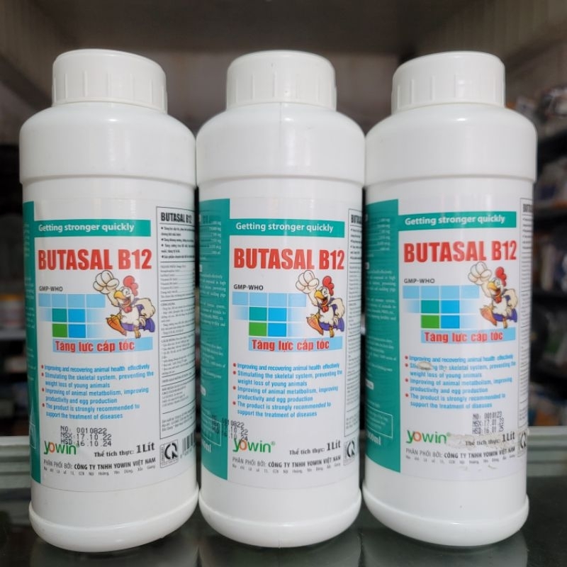 Chai BUTASAL B12 Loại 1lit Tăng lực cấp tốc, phục hồi sức khỏe, tăng ...