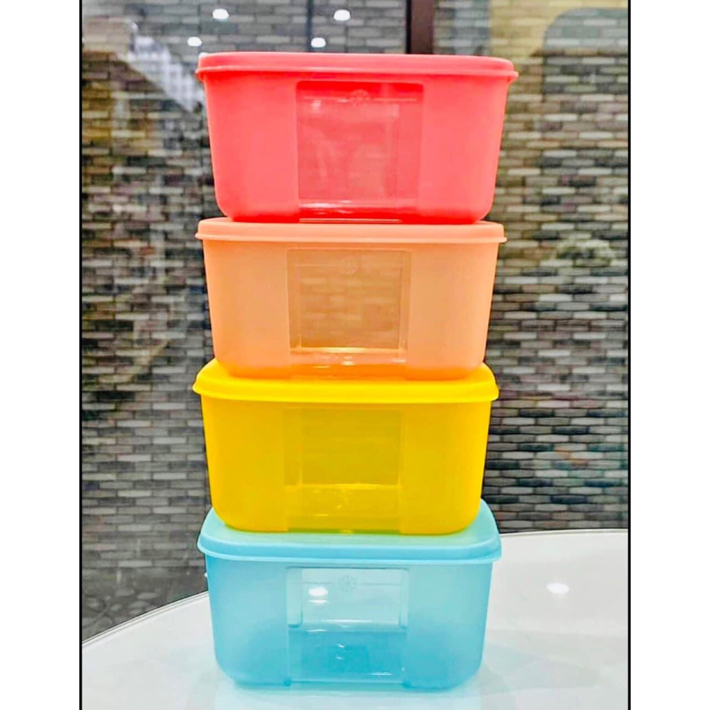 SET 4 HỘP TUPPERWARE RAINBOW TRỮ ĐÔNG 700ML | Shopee Việt Nam