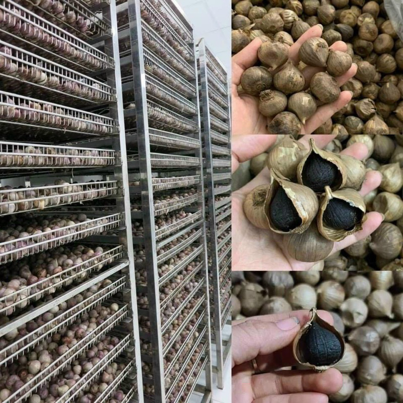 [Sỉ tận gốc ] 500gr Tỏi đen cực thơm ngon(tỏi 1 nhánh) thơm mới nhất ...