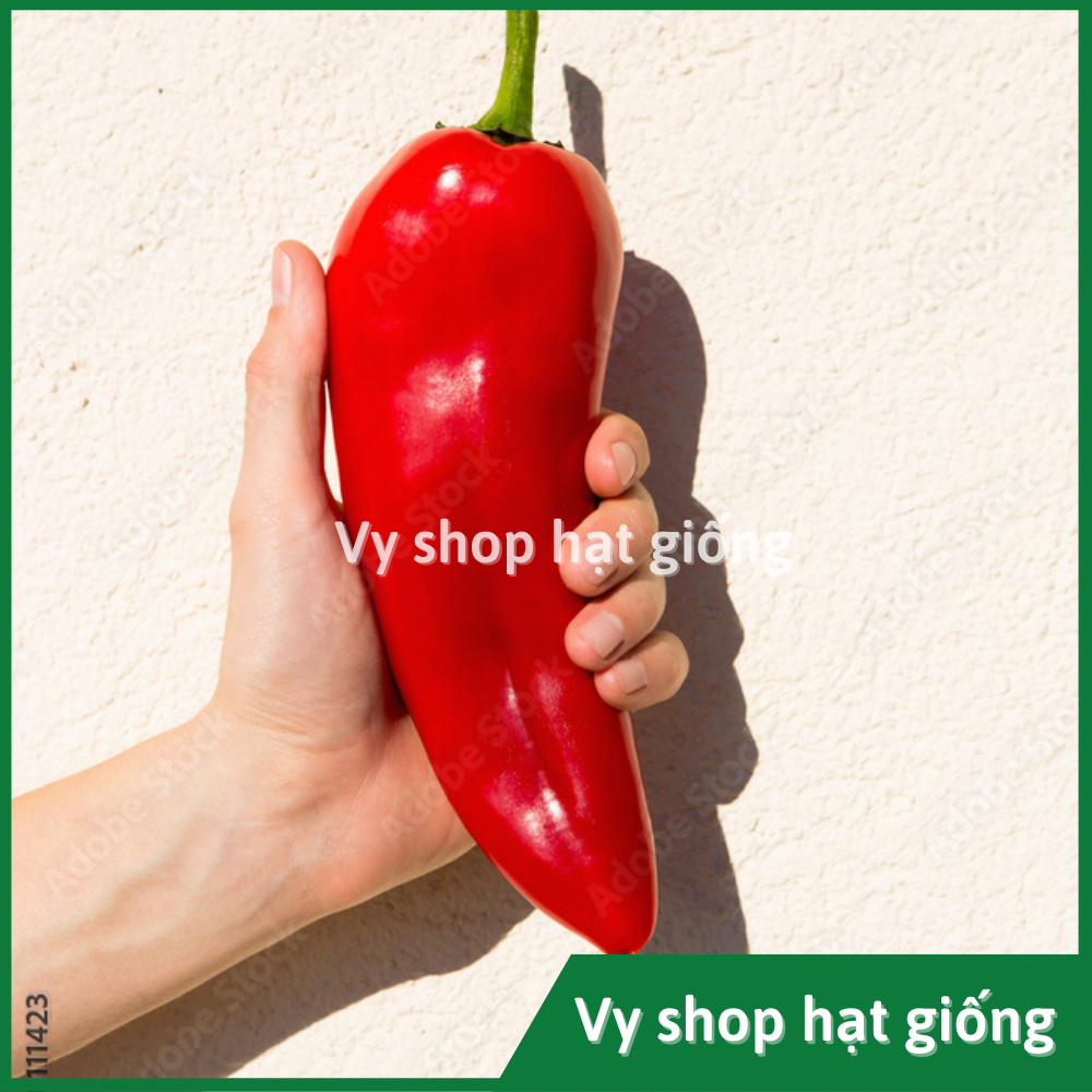 Hạt giống ớt ngọt sừng bò đỏ (ớt trái cây) quả to gói 300 hạt | Shopee ...
