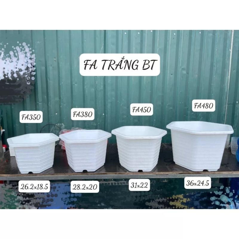 Chậu nhựa trồng cây lục giác FA350, FA380, FA450, FA480 mầu trắng ...